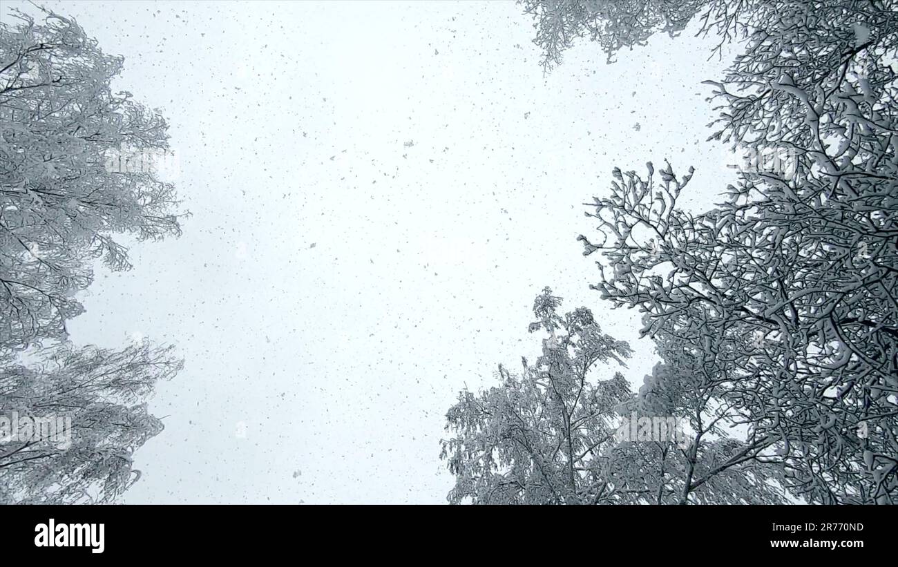 Vertically below hi-res stock photography and images - Alamy