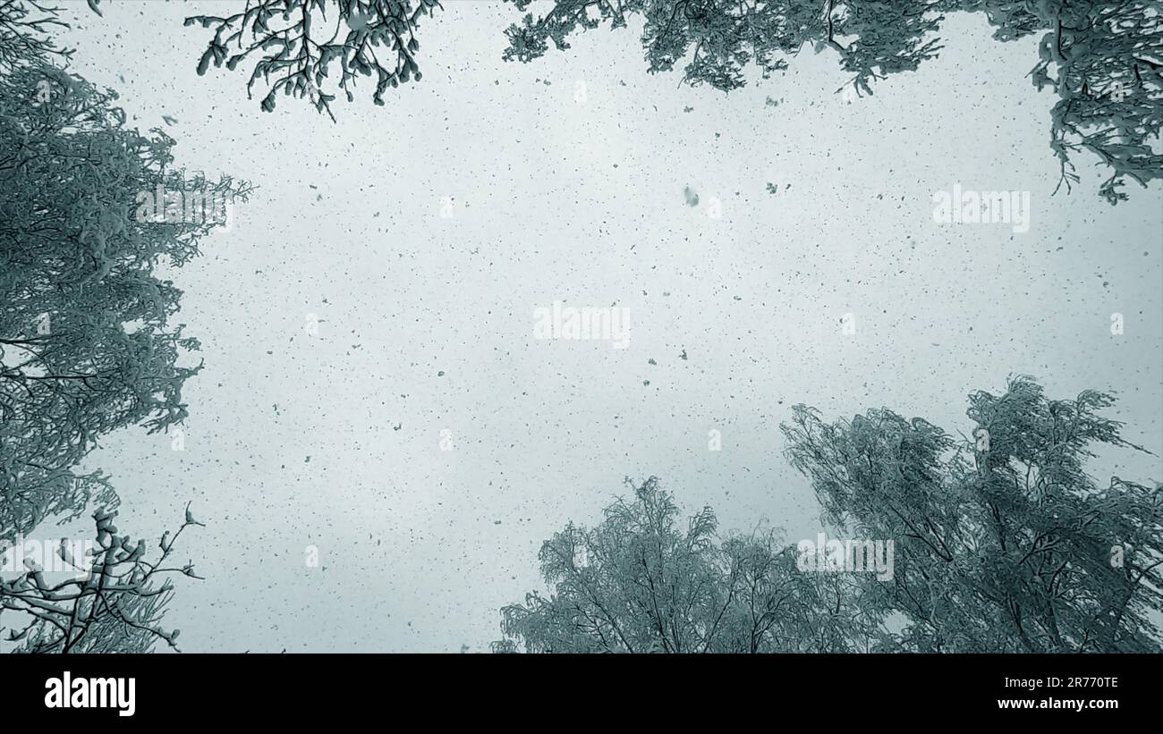 Many snow flakes falling from hi-res stock photography and images - Alamy