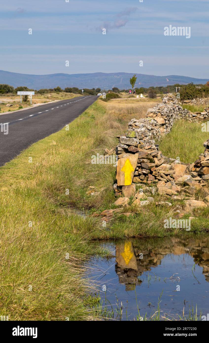 El ganzo hi-res stock photography and images - Alamy
