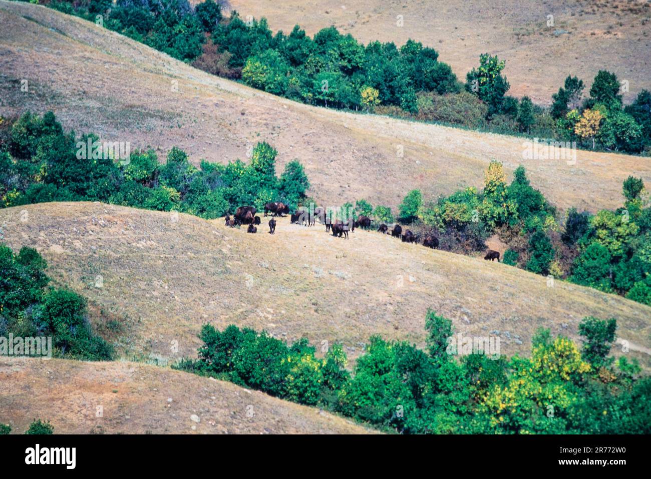 Aerial of Buffalo Pound Provincial Park, Saskatchewan, Canada Stock ...
