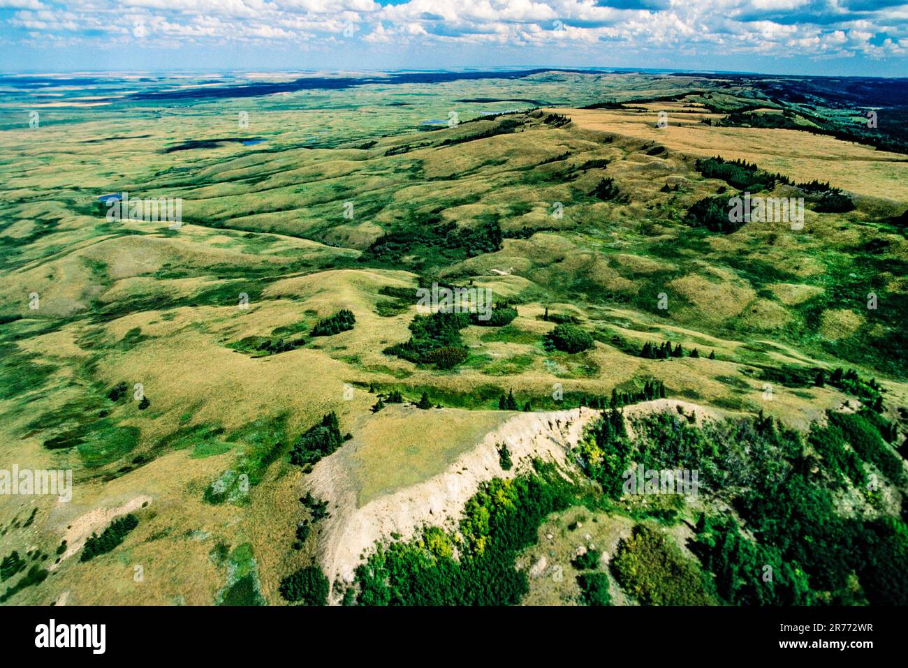 Aerial of Cypress Hills Interprovincial Park, Alberta, Saskatchewan ...