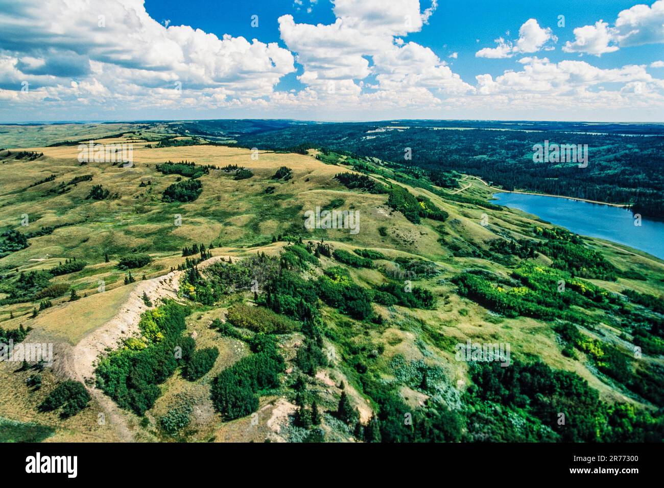 Aerial of Cypress Hills Interprovincial Park, Alberta, Saskatchewan ...