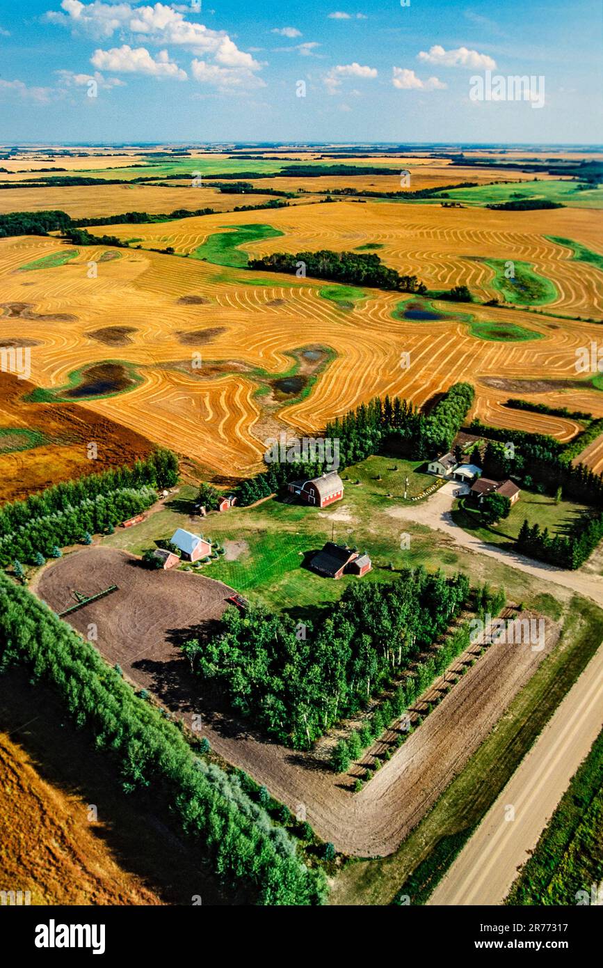 Aerial of prairies and farms Saskatchewan, Canada Stock Photo - Alamy