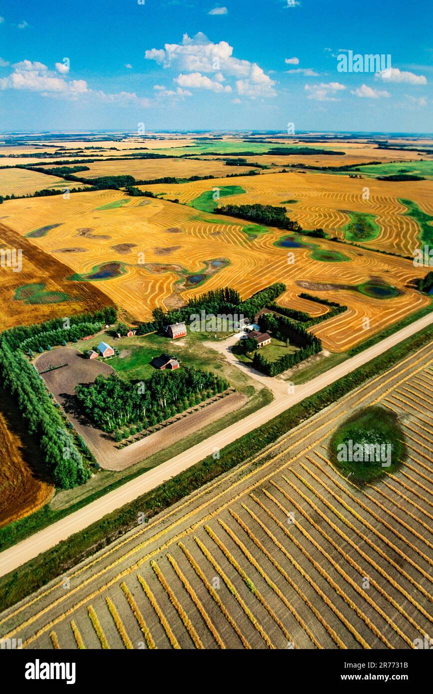 Aerial of prairies and farms Saskatchewan, Canada Stock Photo - Alamy