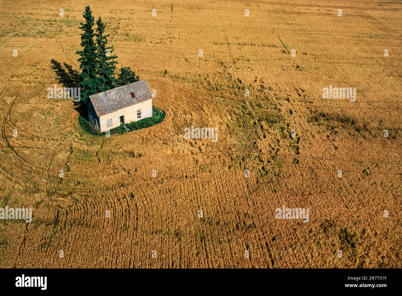 Aerial of prairies and farms Saskatchewan, Canada Stock Photo - Alamy