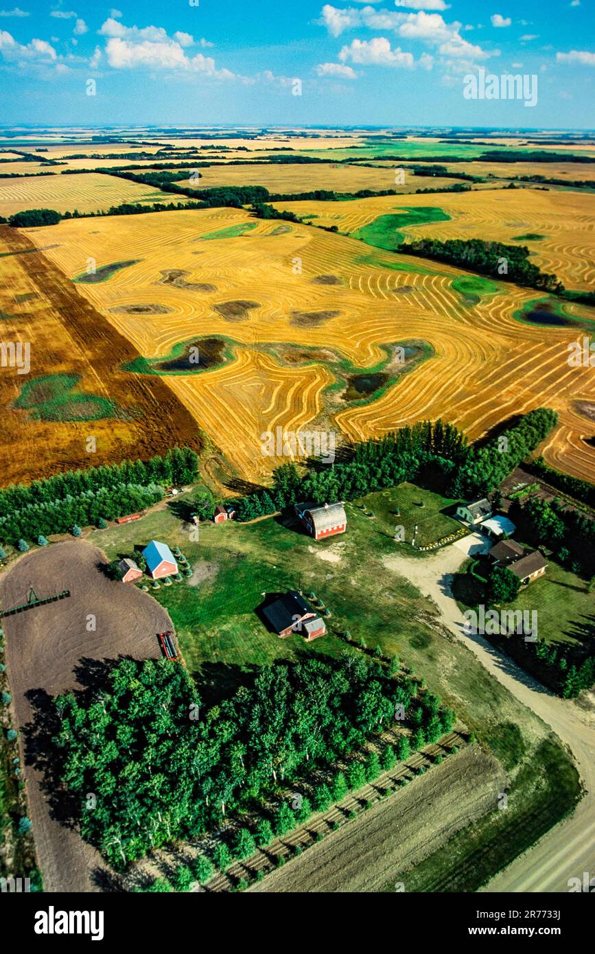 Aerial of prairies and farms Saskatchewan, Canada Stock Photo - Alamy