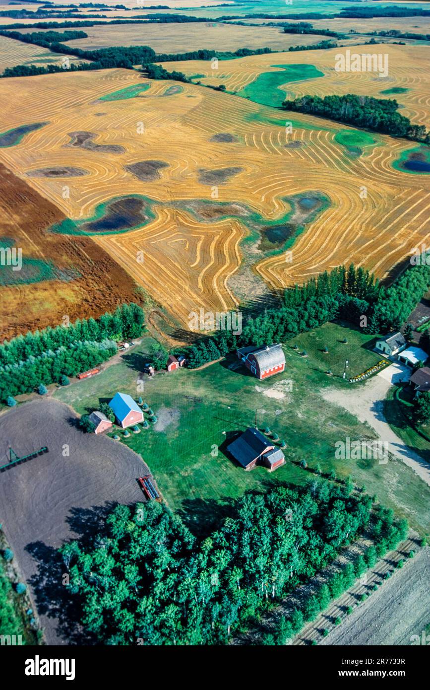 Aerial of prairies and farms Saskatchewan, Canada Stock Photo - Alamy