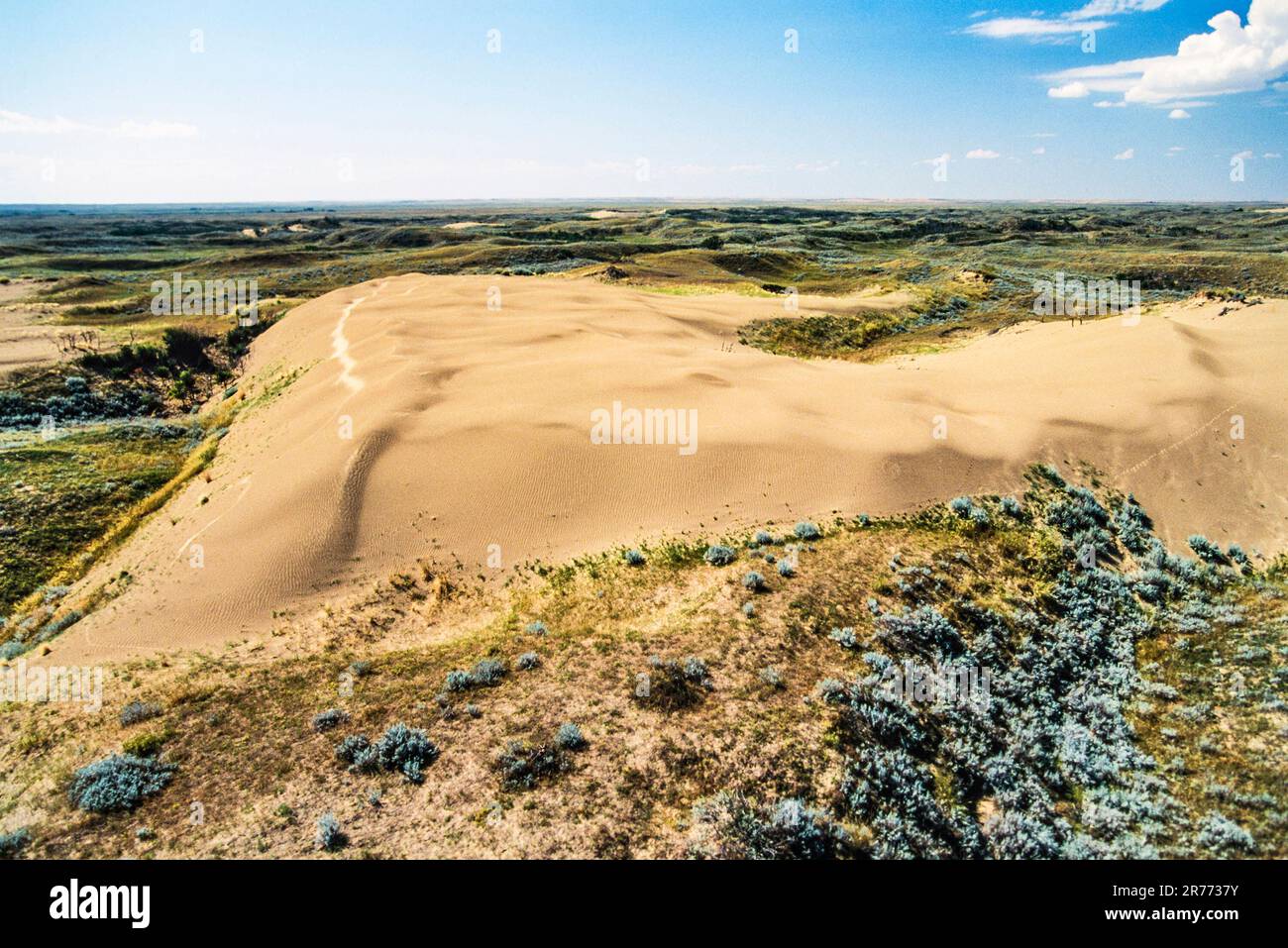 Aerial of the Great Sandhills, Saskatchewan, Canada Stock Photo - Alamy