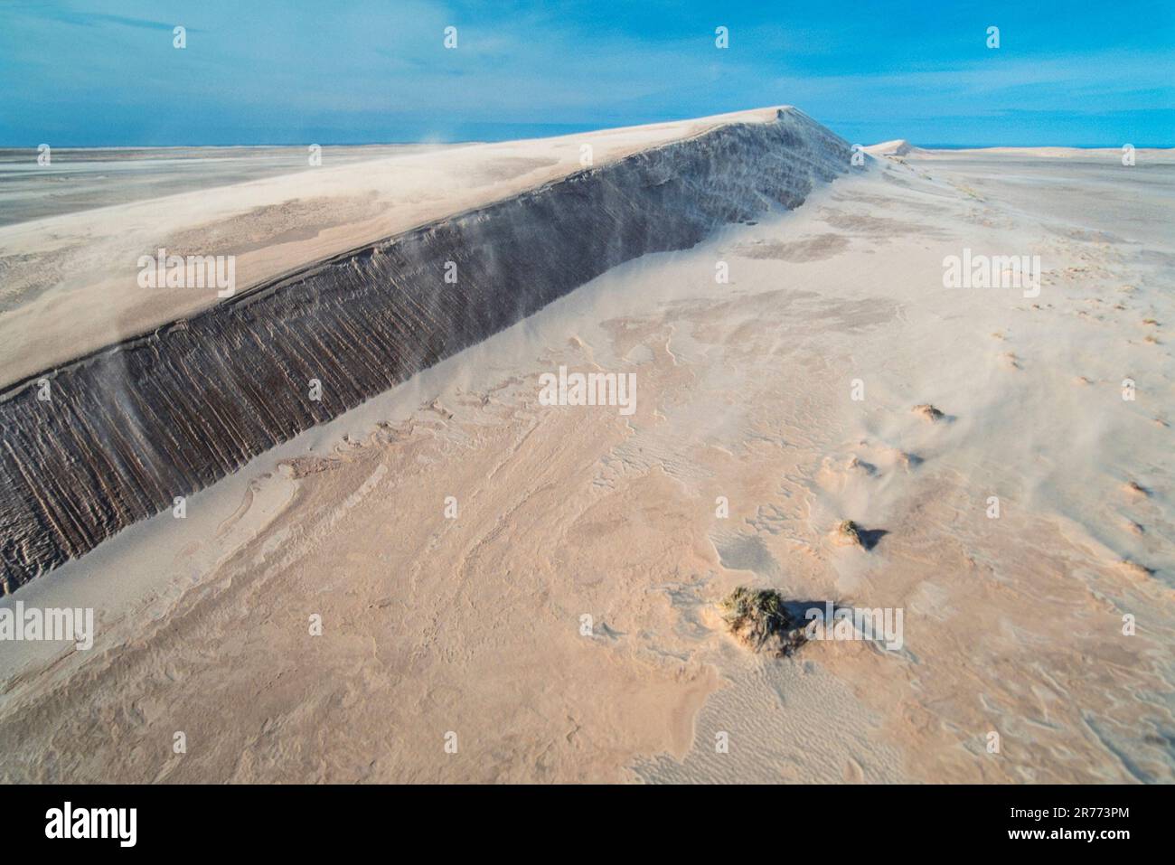 Aerial of Athabasca Sand Dunes Provincial Park, Saskatchewan, Canada ...