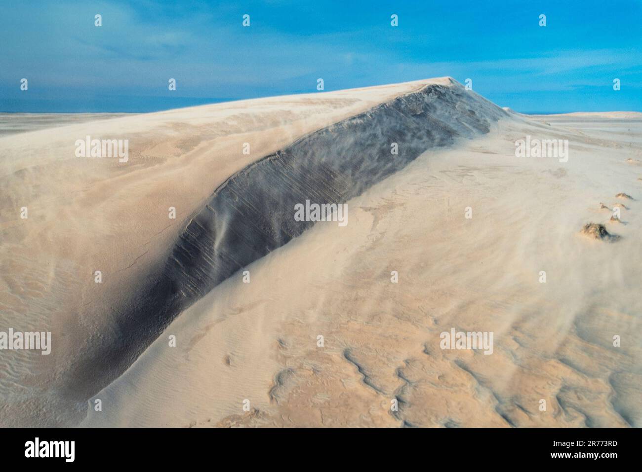 Aerial of Athabasca Sand Dunes Provincial Park, Saskatchewan, Canada ...