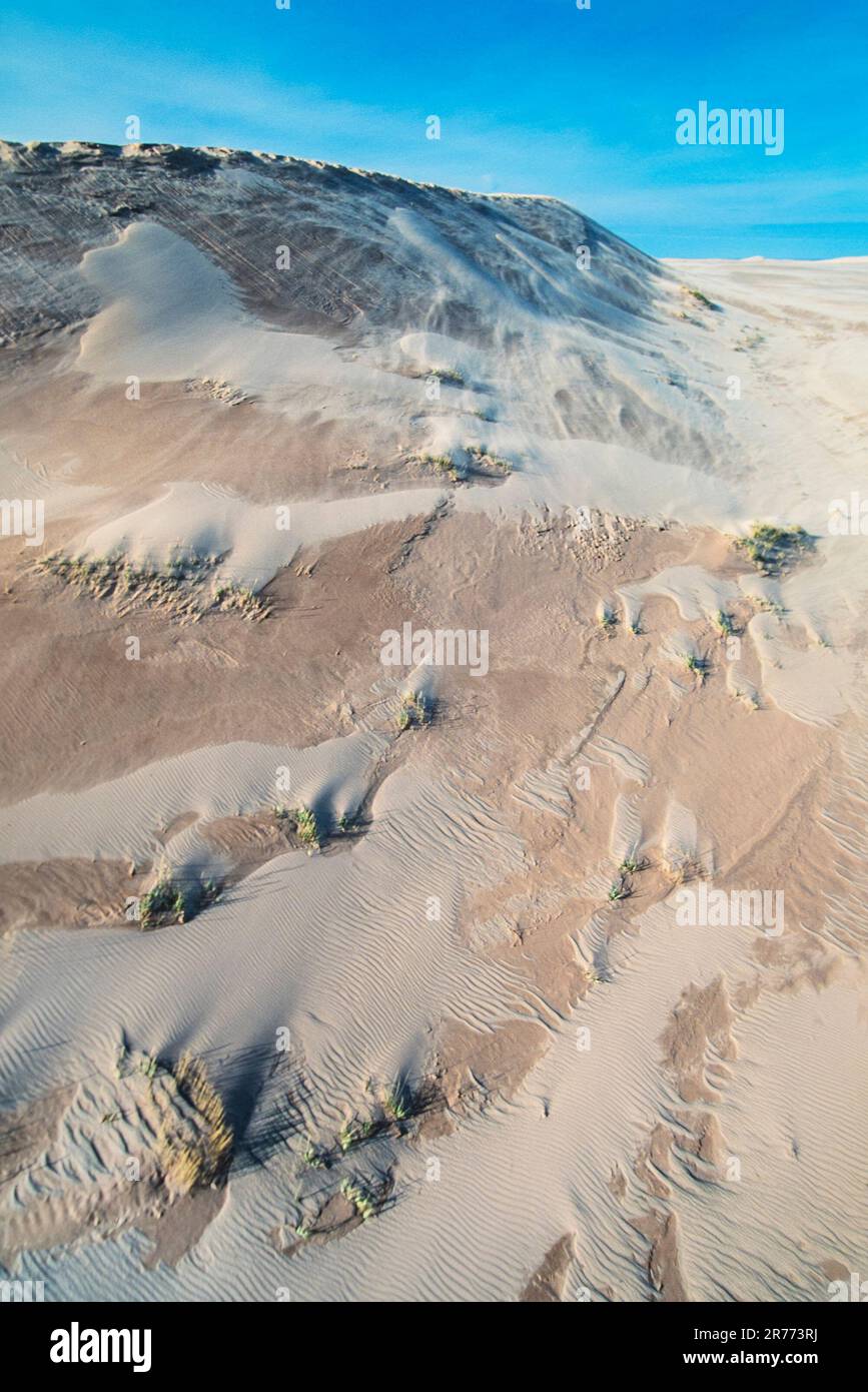Aerial of Athabasca Sand Dunes Provincial Park, Saskatchewan, Canada ...