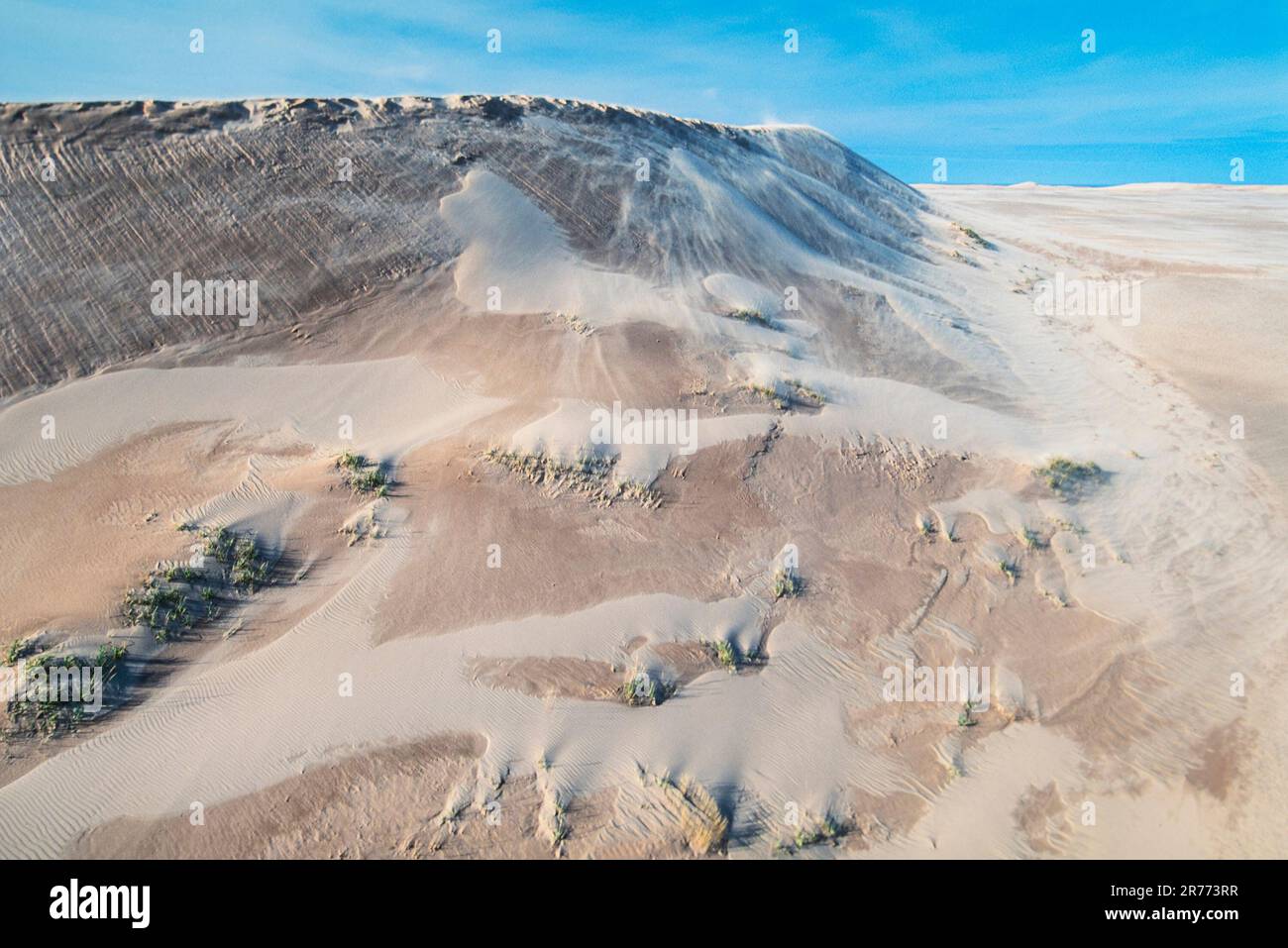 Aerial of Athabasca Sand Dunes Provincial Park, Saskatchewan, Canada ...