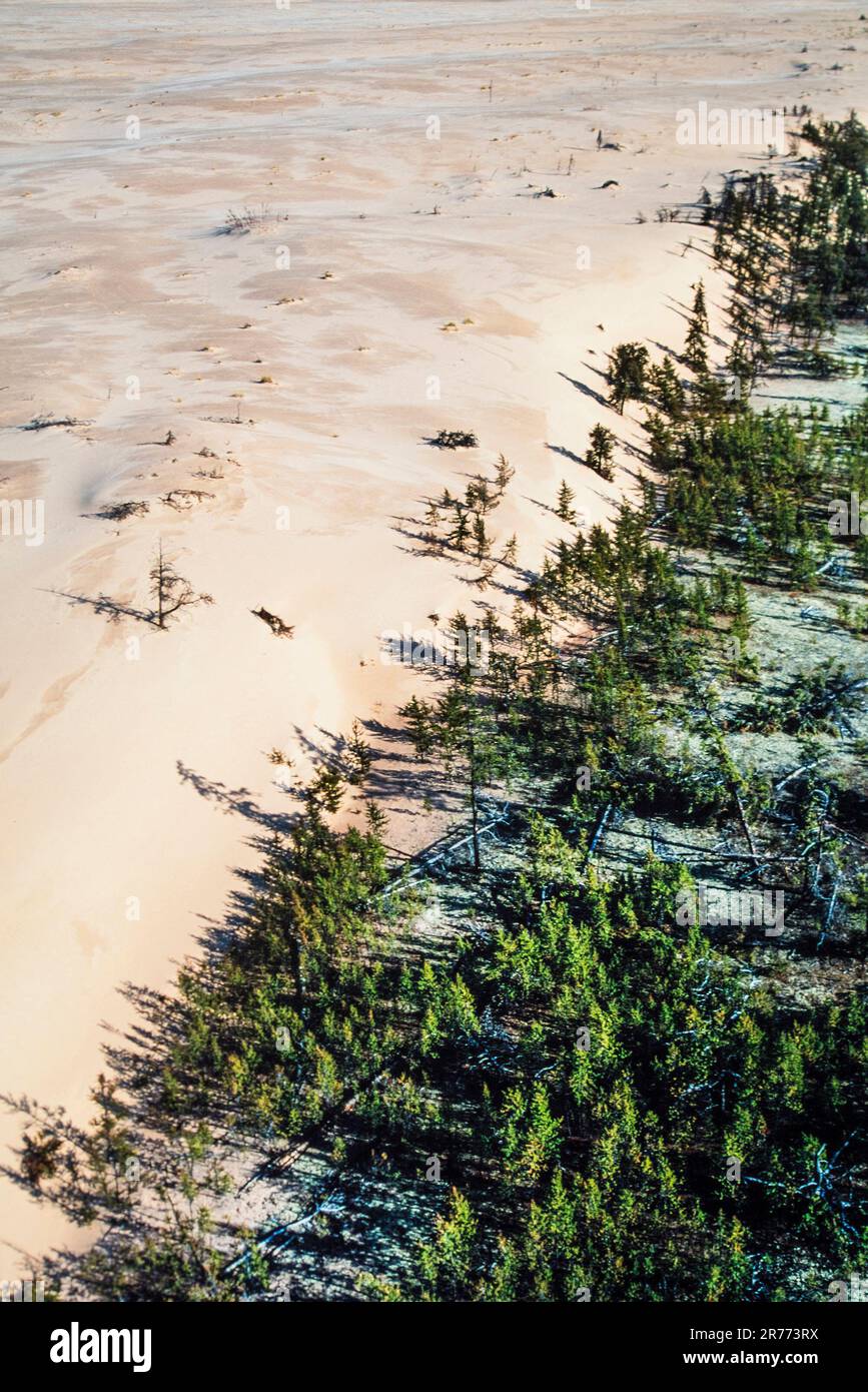 Aerial of Athabasca Sand Dunes Provincial Park, Saskatchewan, Canada ...