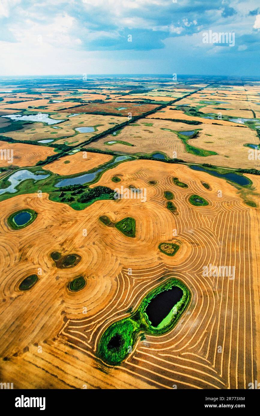 Saskatchewan wheat fields aerial hi-res stock photography and images ...
