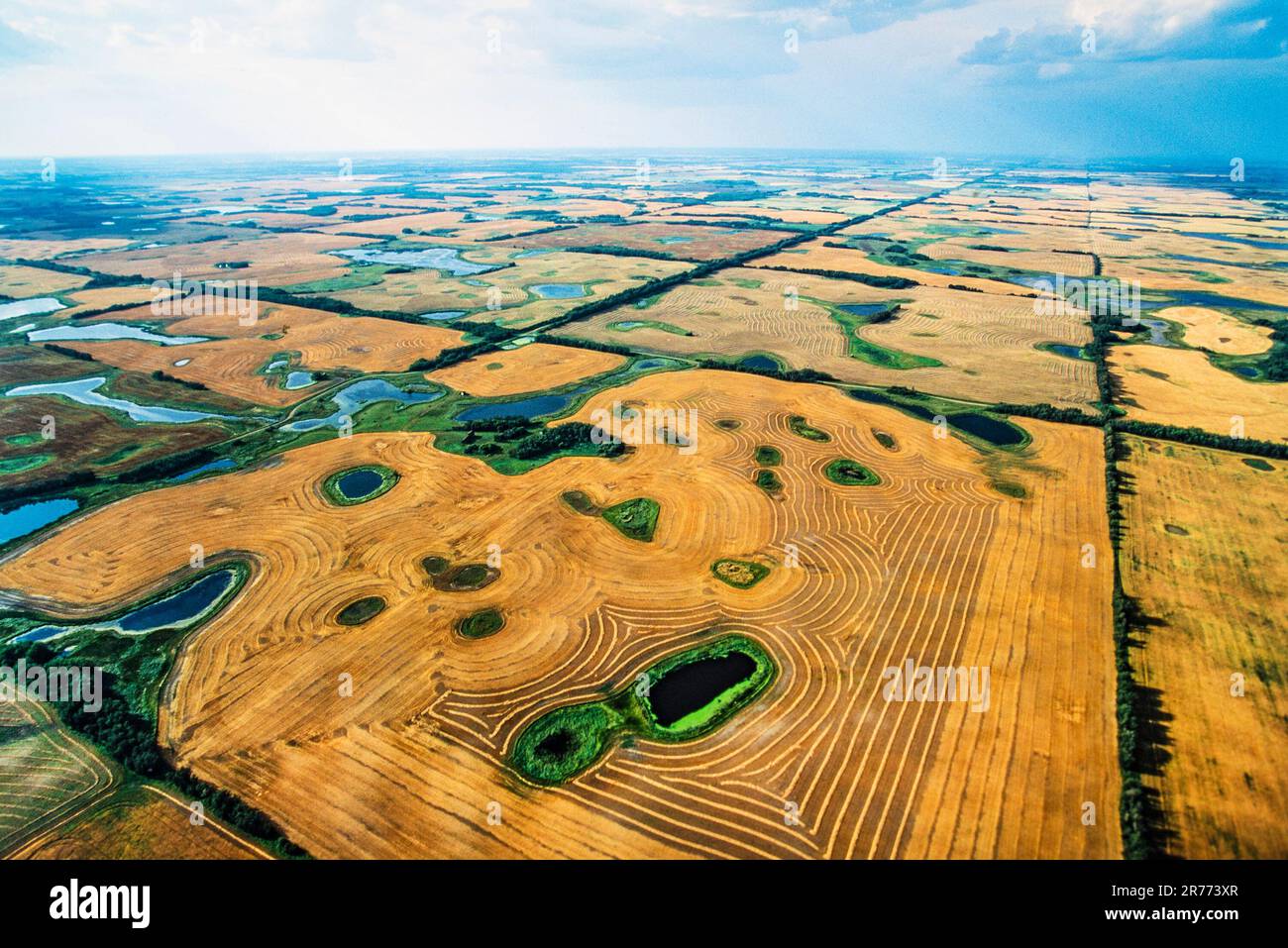 Saskatchewan wheat fields aerial hi-res stock photography and images ...