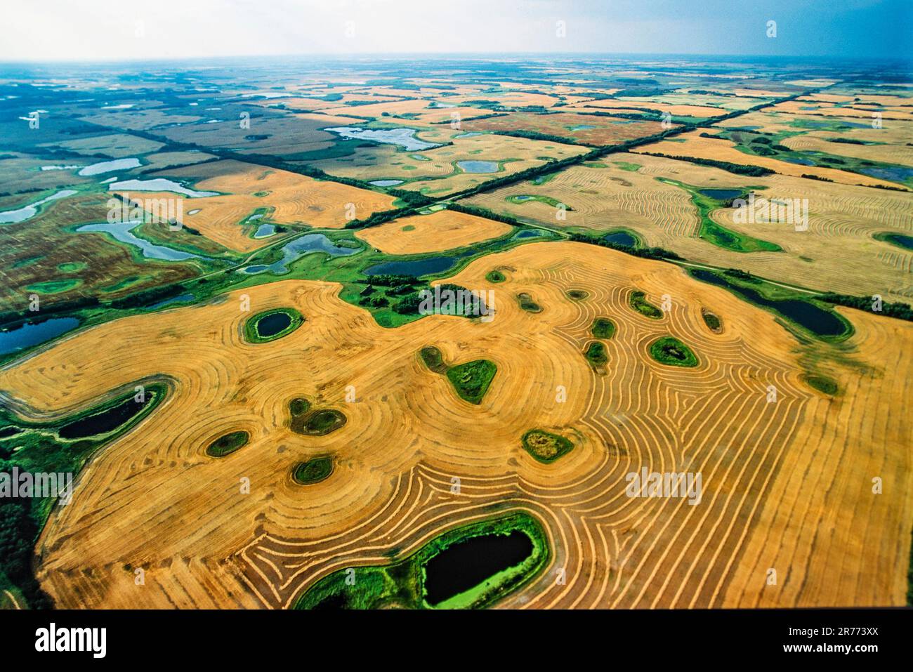 Saskatchewan wheat fields aerial hi-res stock photography and images ...