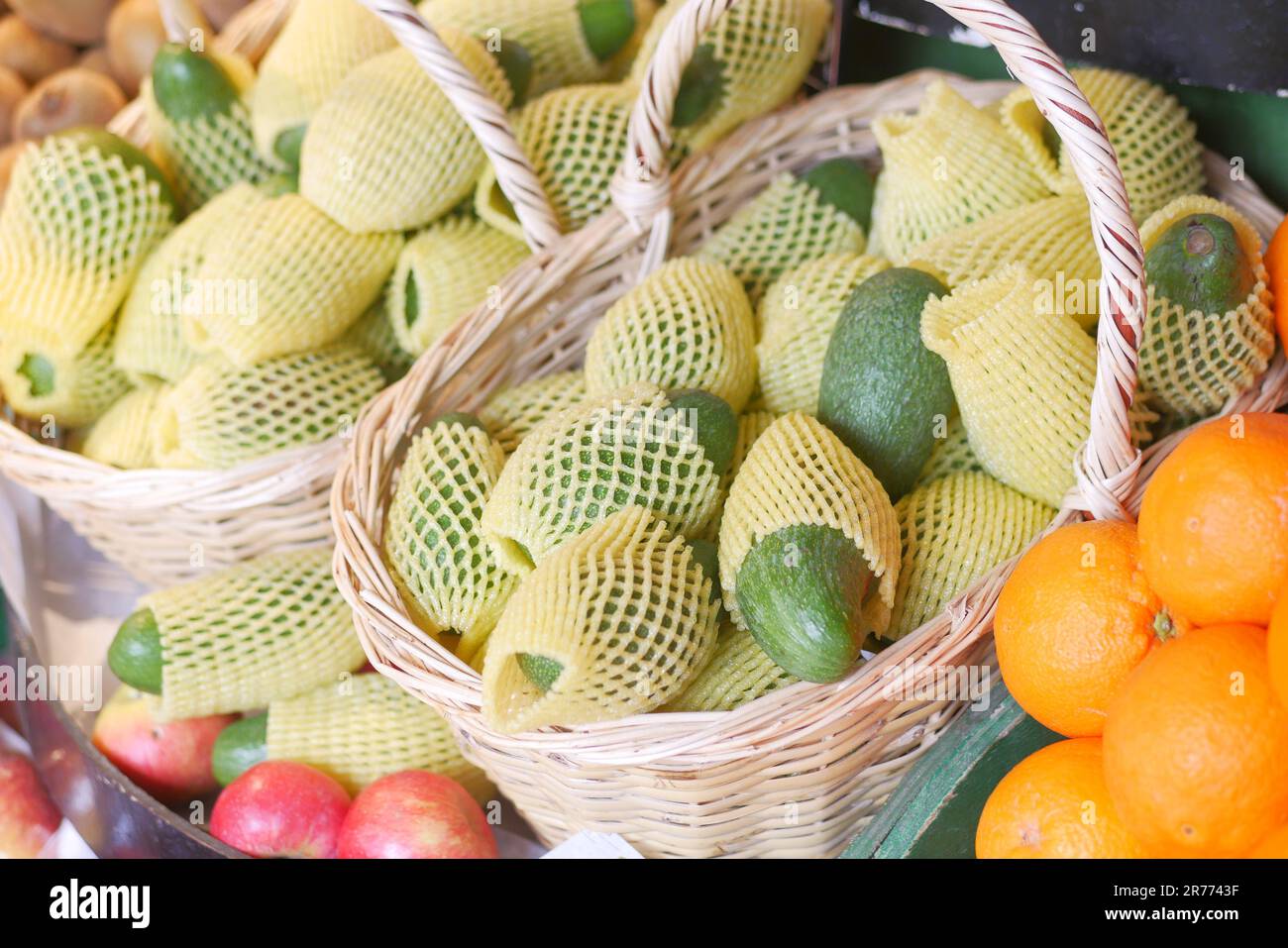 many avocado display for sale at local store Stock Photo - Alamy