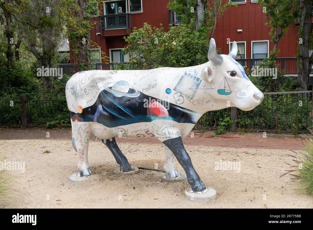San Luis Obsipo, CA - May 20 2023: Cow statue covered with math and ...