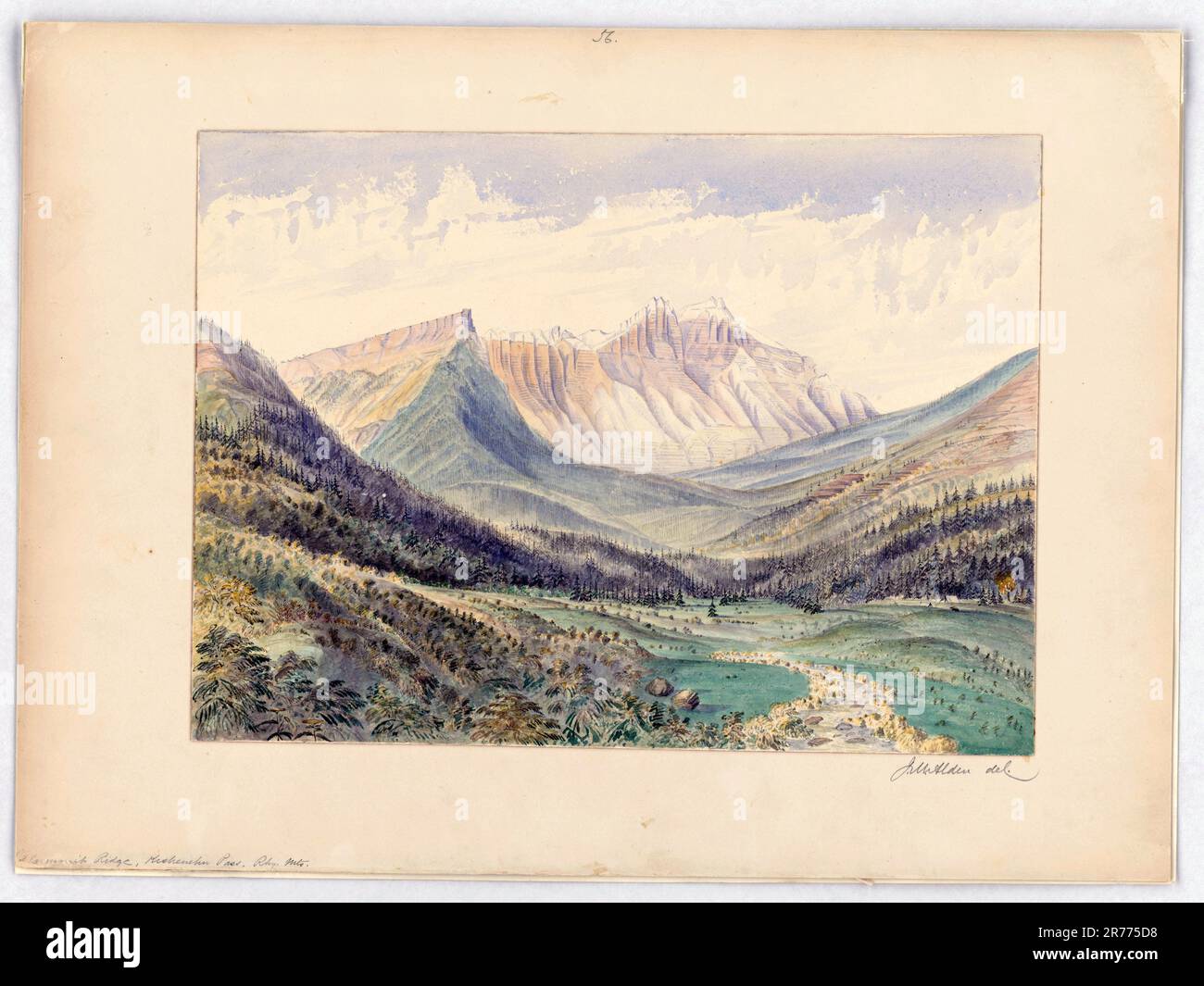 Summit Ridge, Kishenehn Pass, Rky. mts. Camp. (foot of summit - E. side ...