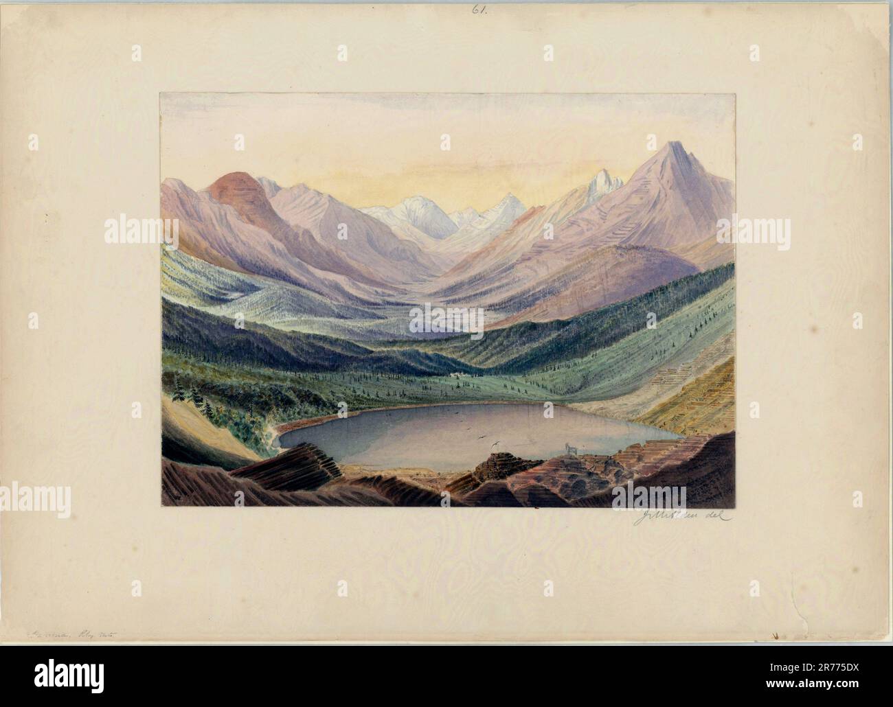 Akamina, Rky. mts. Camp Akamina (49th. parallel) looking N. 50. E ...