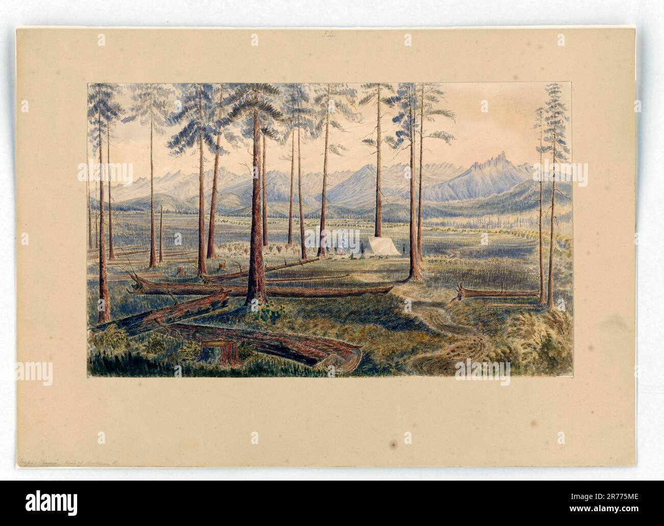 "Josephs' Prairie". Head of Kootenay R. Rocky Mountain peaks from Camp ...