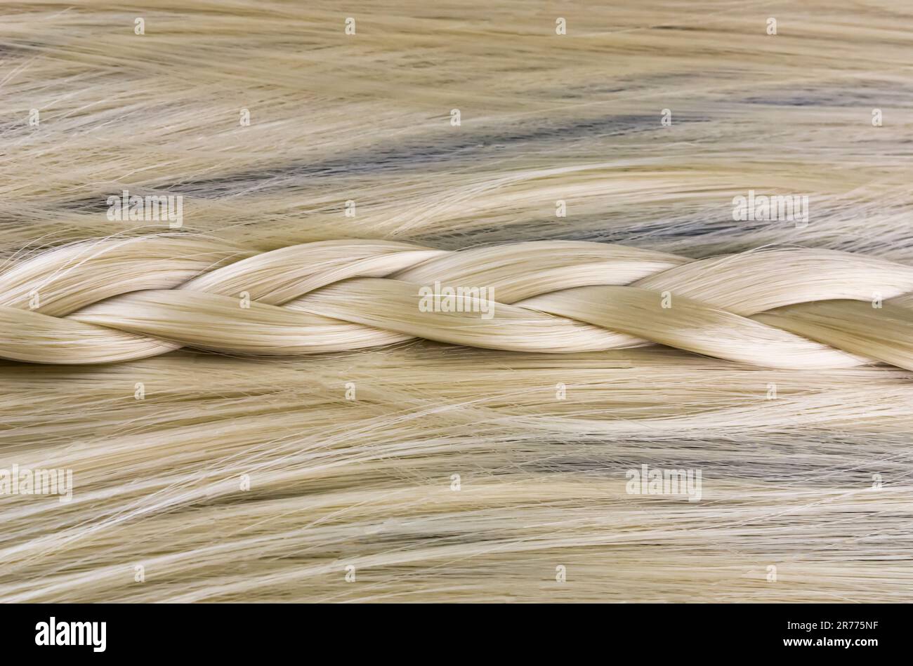 Blond braid hair hi-res stock photography and images - Alamy