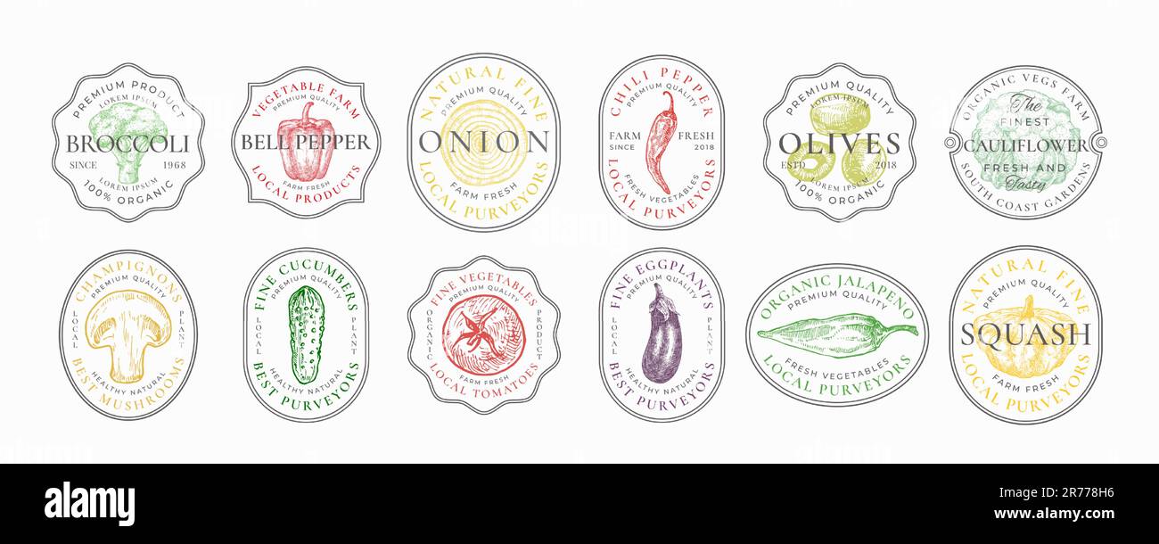 Vegetables Frame Badges Logo Templates Collection. Hand Drawn Vegetable ...