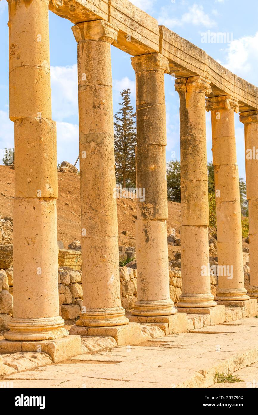 Jerash, Jordan, Columns of ancient street cardo maximus, Ancient Roman ...