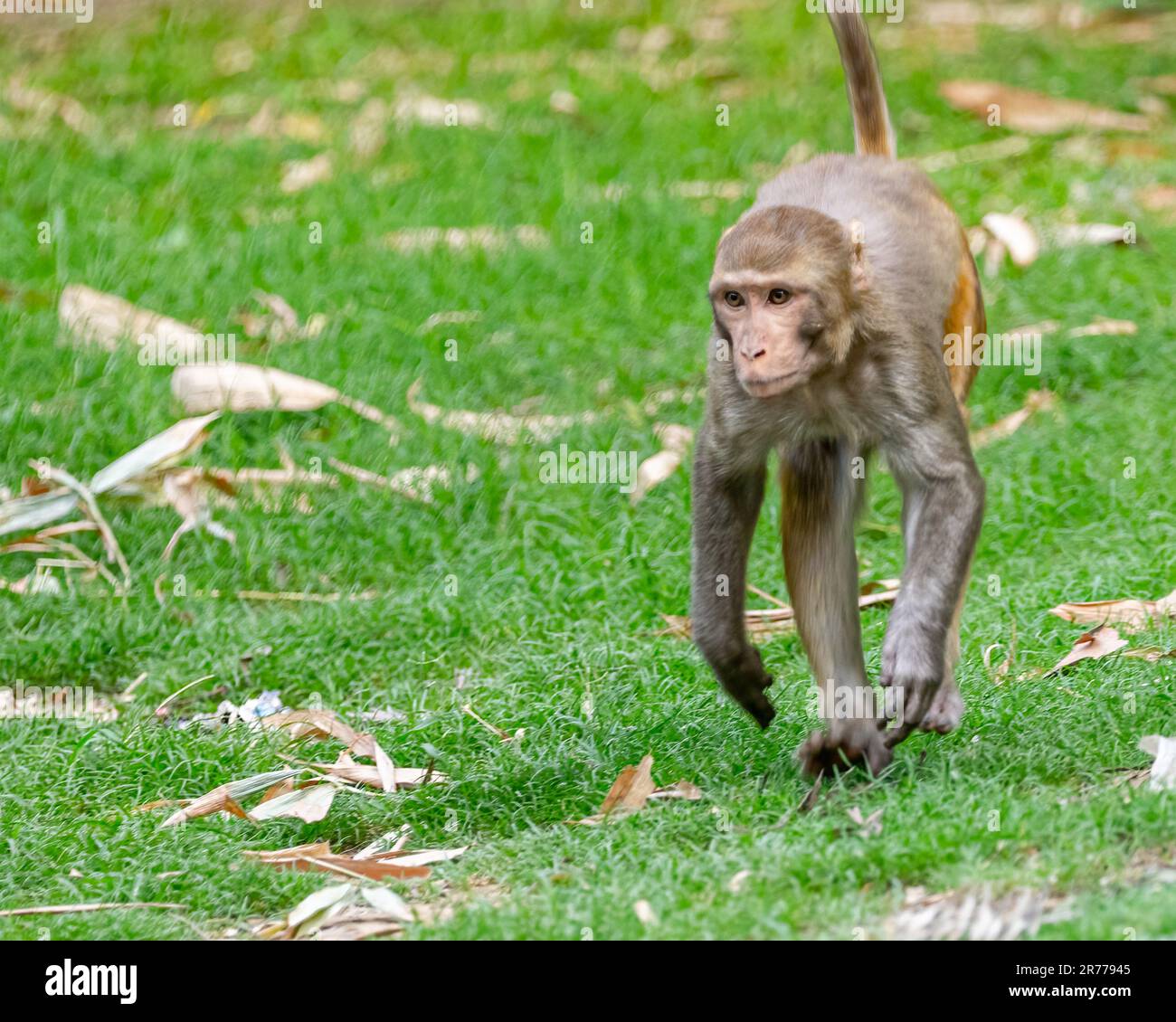 Running a hot bath hi-res stock photography and images - Alamy