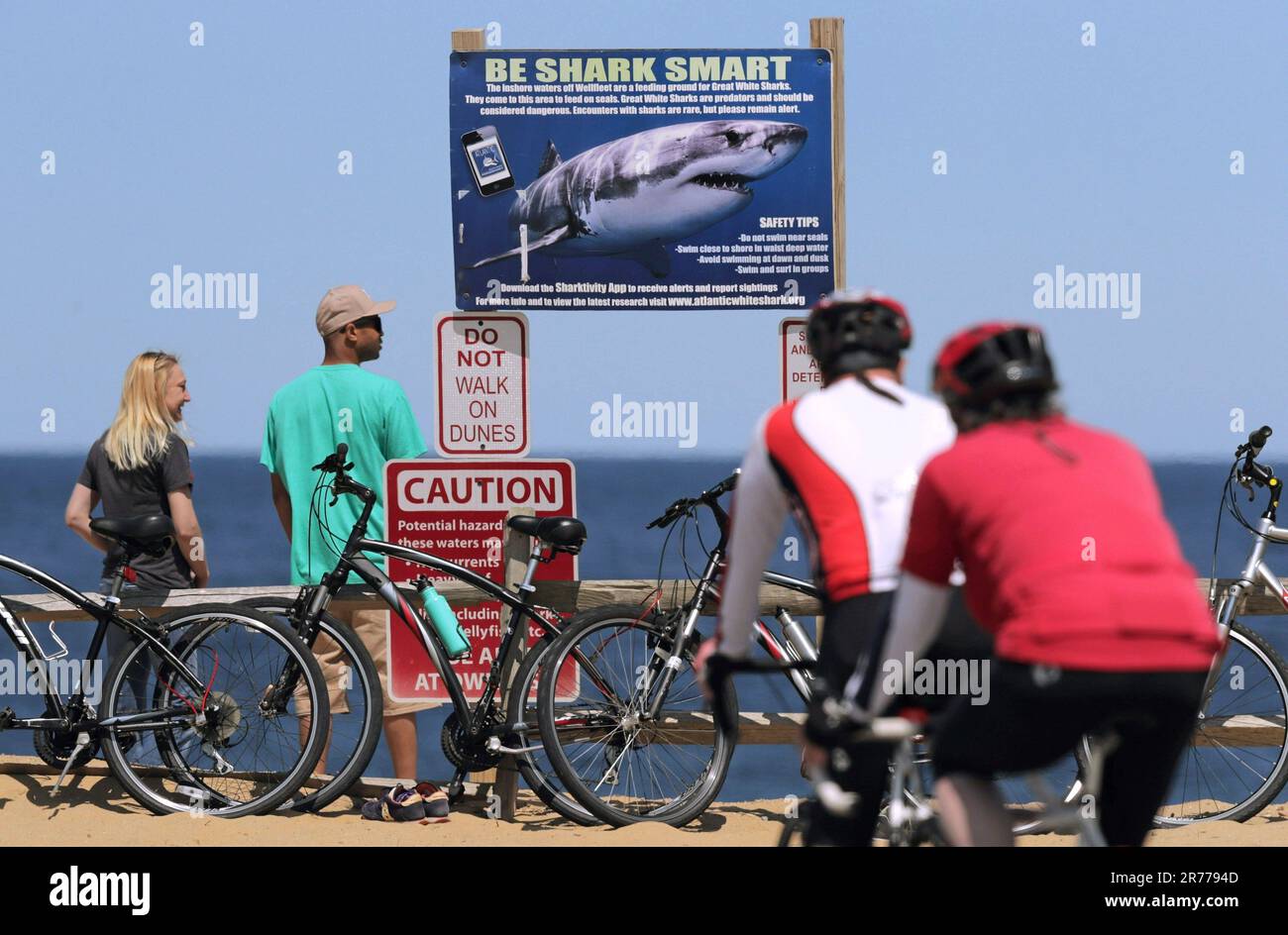 FILE - In this May 22, 2019, file photo, a shark warning warns ...