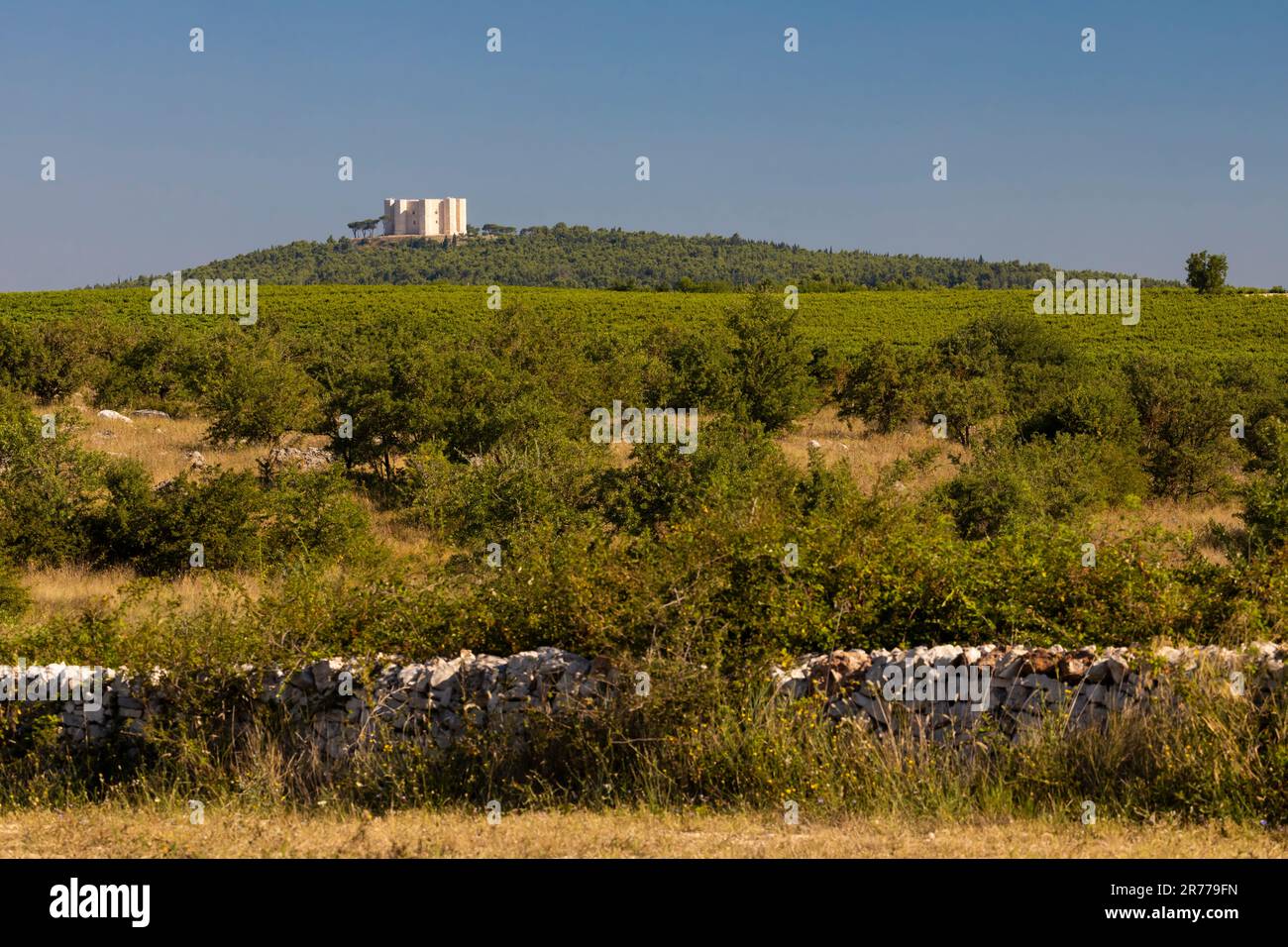 Castel del Monte, castle built in an octagonal shape by the Holy Roman ...