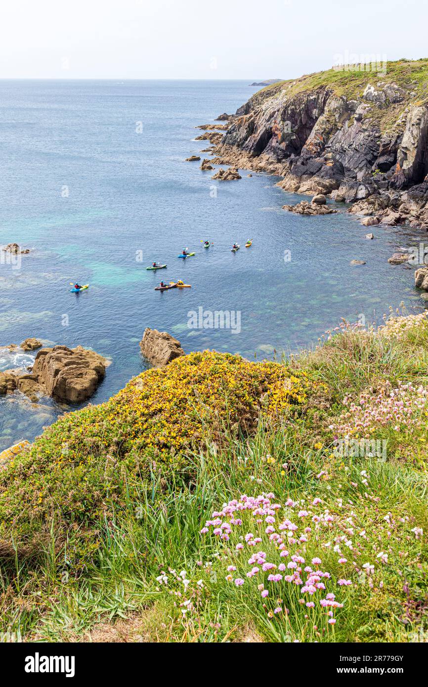 Canoeists in St Non's Bay on the St David's peninsula in the ...