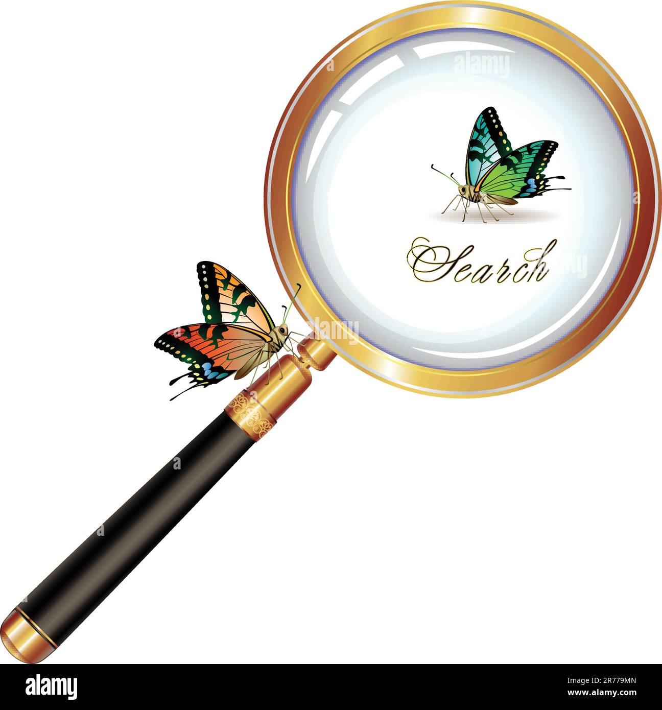 Magnifying glass and butterfly isolated on white background Stock ...