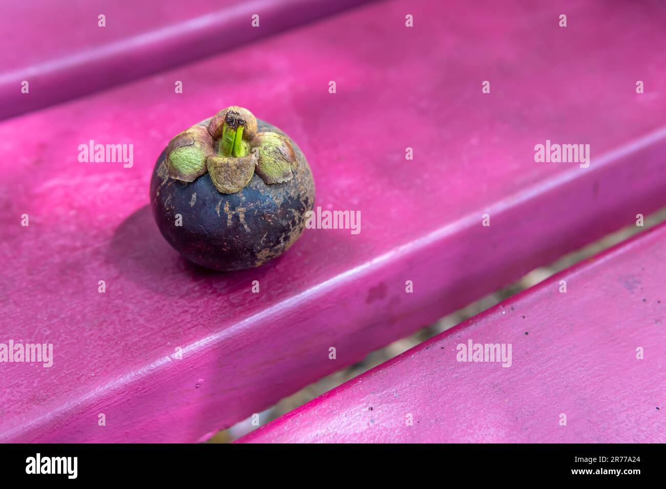 One mangosteen fruit, which is young and vivid and exudes tropical ...