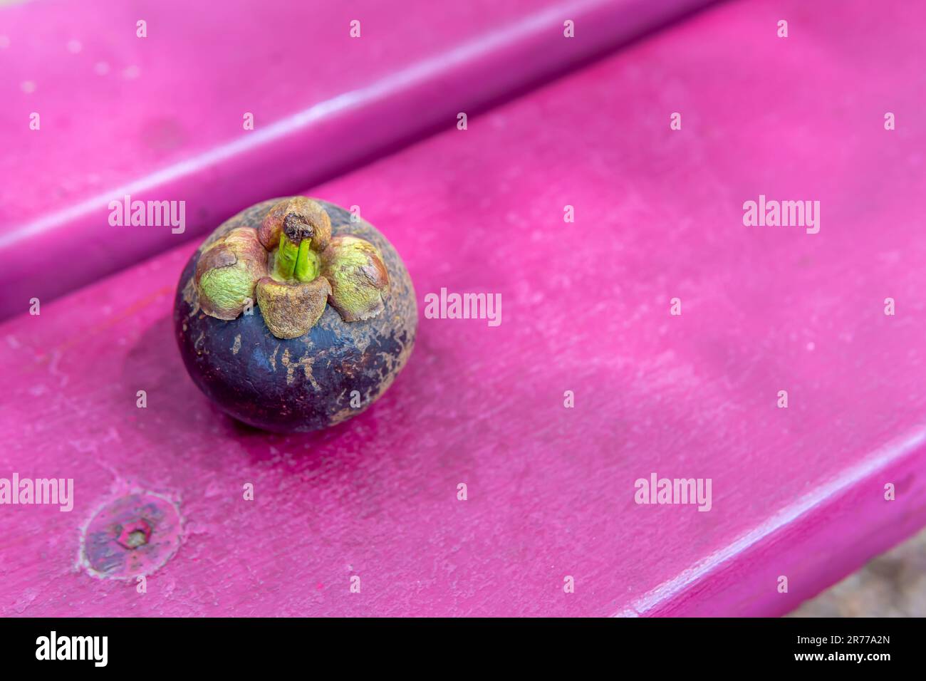 One mangosteen fruit, which is young and vivid and exudes tropical ...