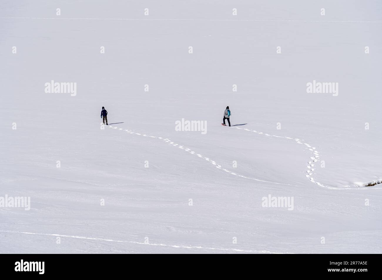 The two people snowshoeing on a snowy white mountainside Stock Photo ...