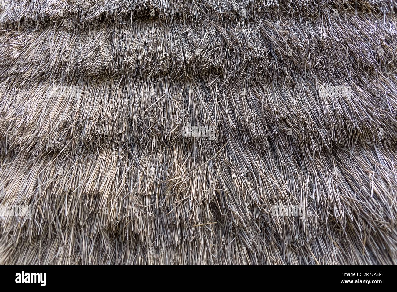 Texture view of the roof typical of traditional houses on the island of ...