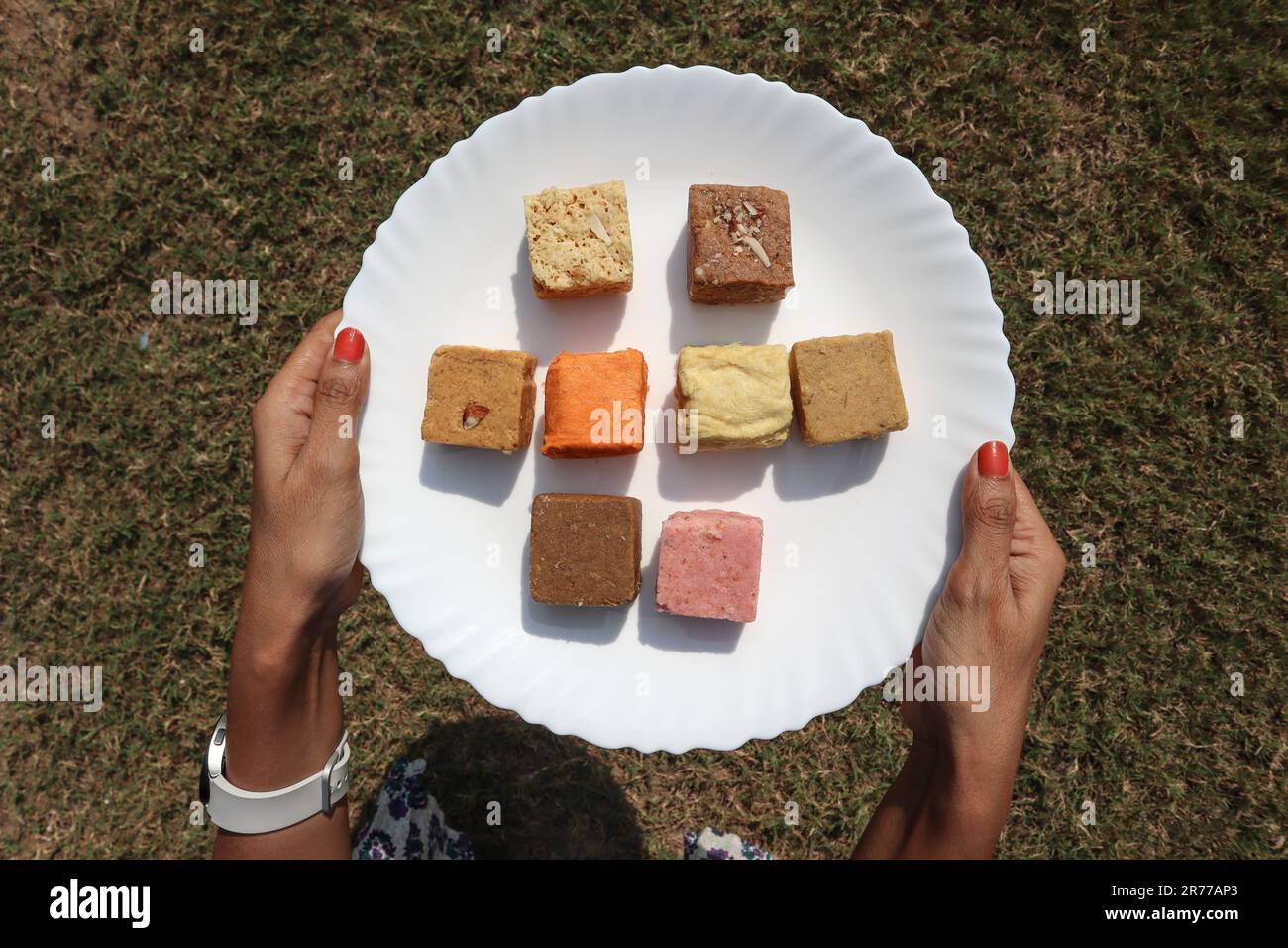 Female holding plate of Indian sweets assorted burfis with different ...