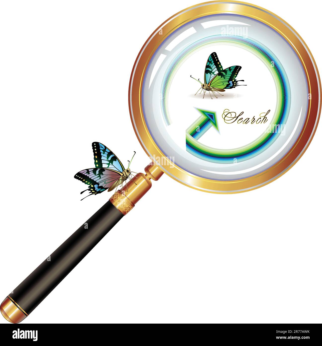 Magnifying glass and butterfly isolated on white background Stock ...