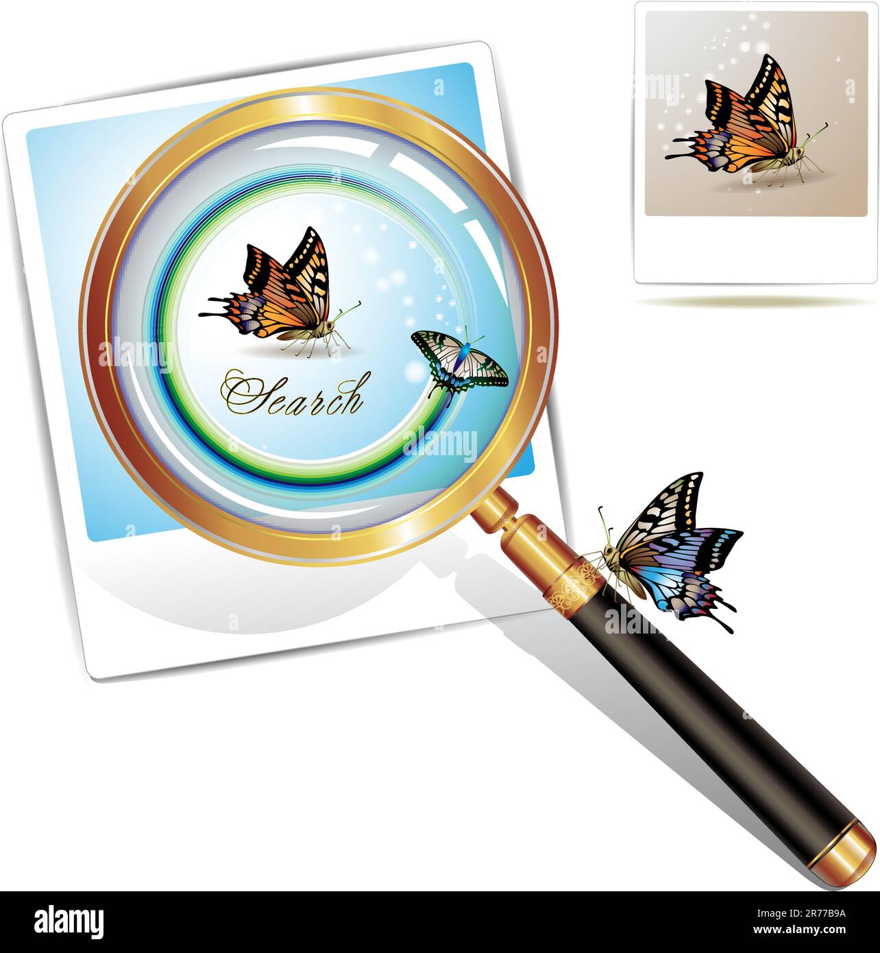 Magnifying glass over a photo with butterfly isolated on white ...