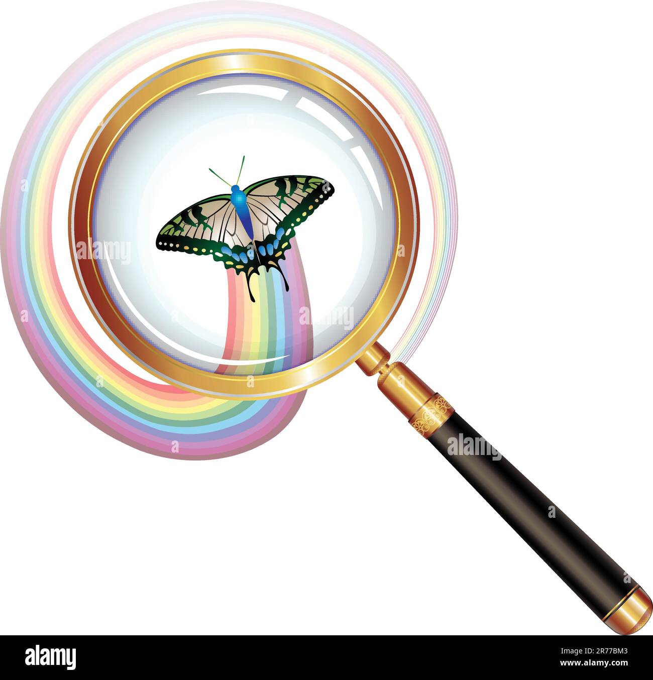 Magnifying glass and butterfly isolated on white background Stock ...