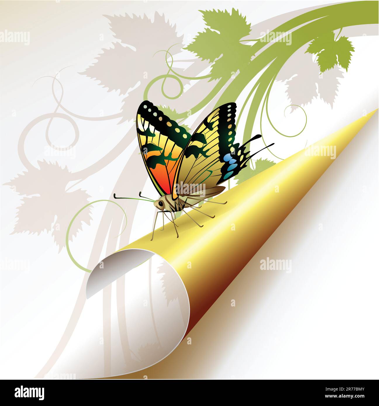 Curled corner with butterfly, vector illustration Stock Vector Image ...