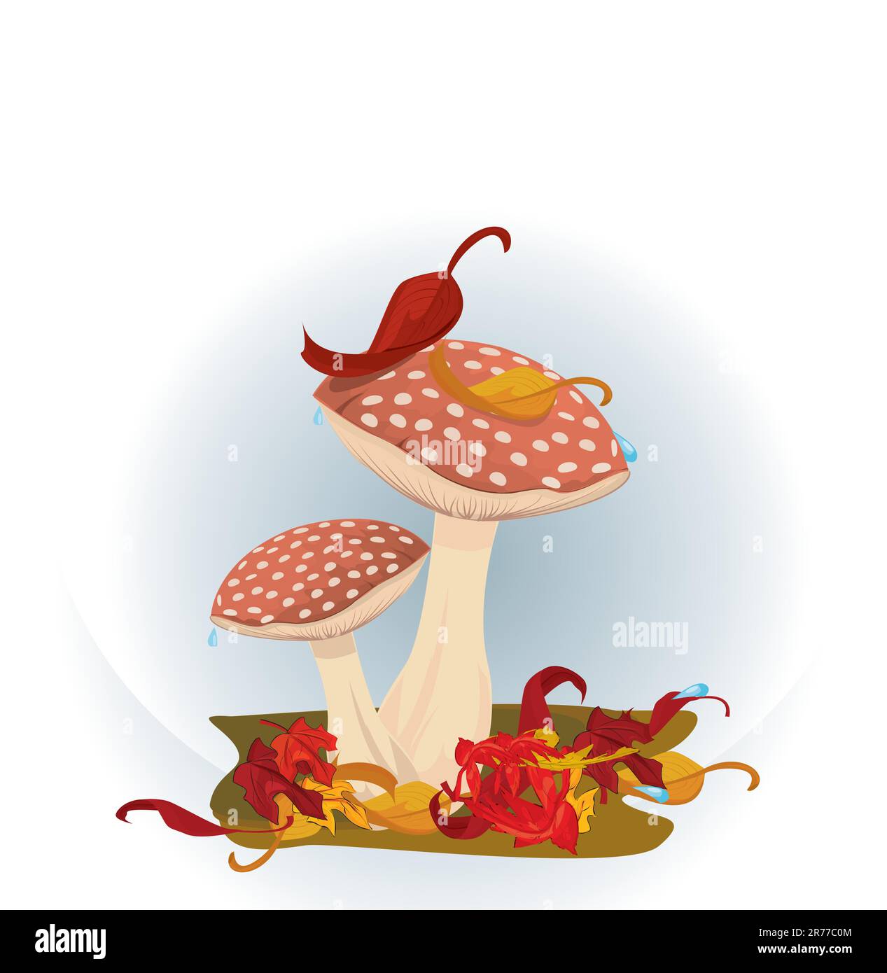 Magic mushrooms field Stock Vector Images - Alamy