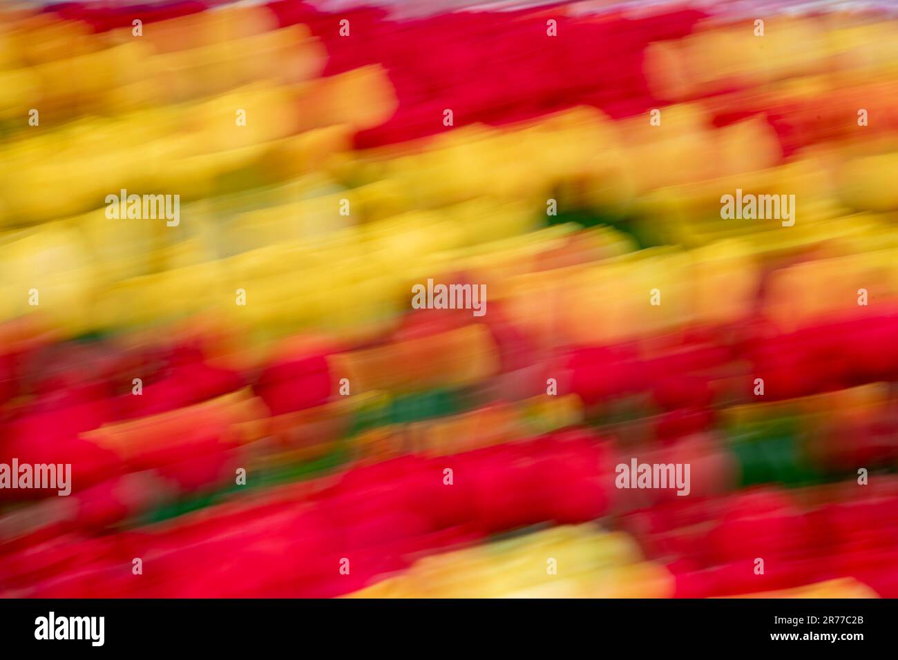 WA23403-00...WASHINGTON - Windy day and camera movement in the Skagit ...