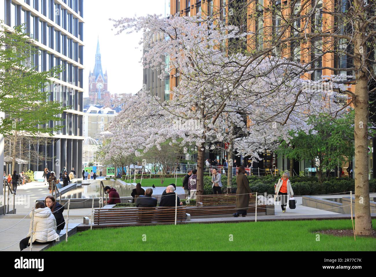 Green grass and blossom on Pancras Square in spring, at Kings Cross ...