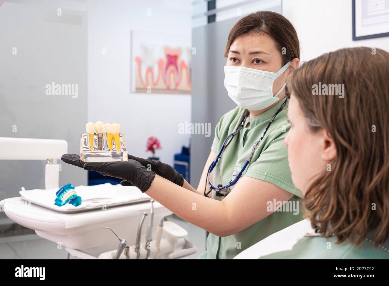 Dental professional displaying a model of human teeth to patient ...