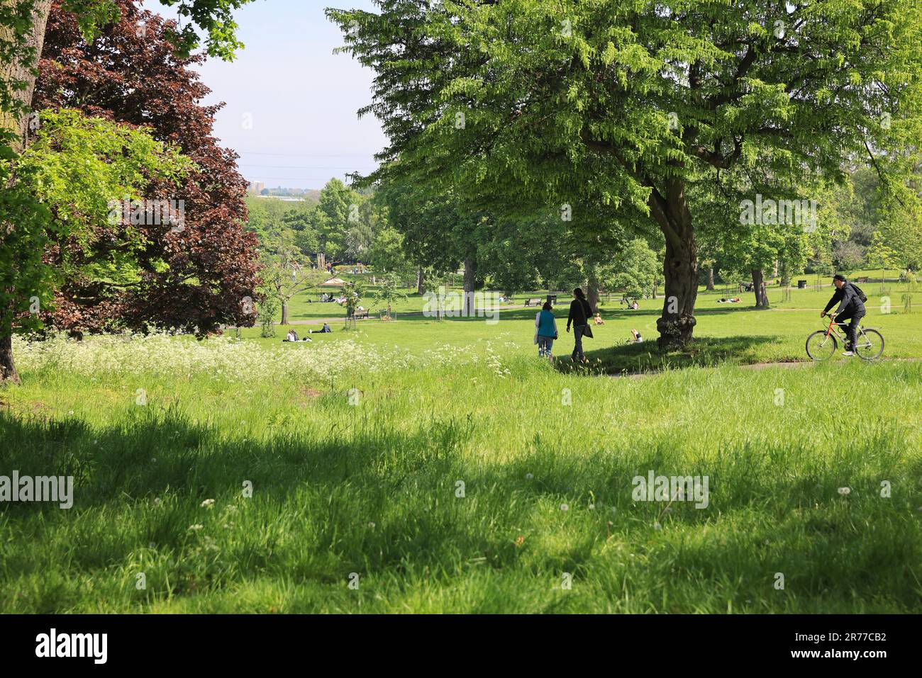 Springfield park hi-res stock photography and images - Alamy