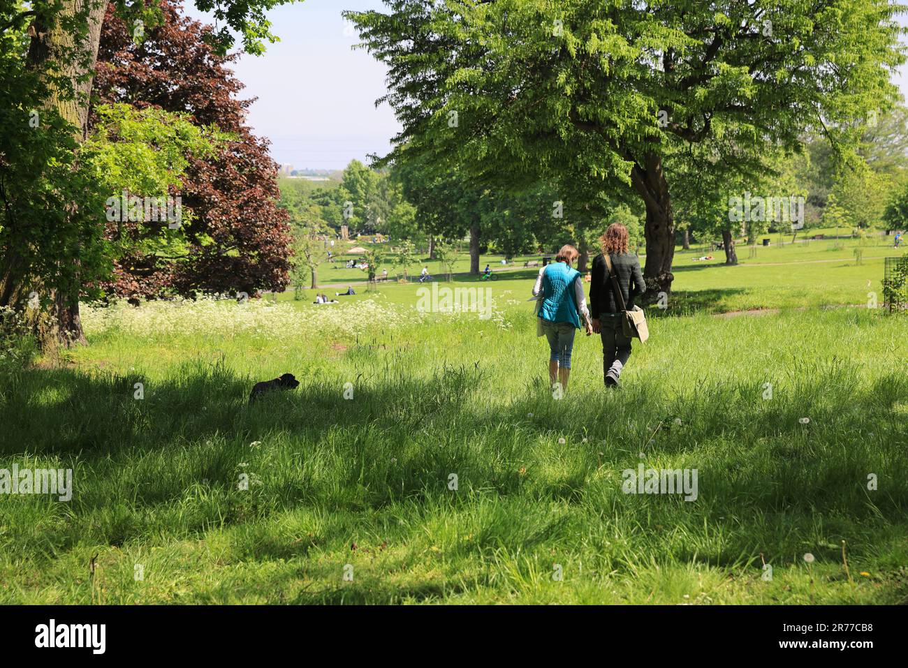 Lovely Springfield Park, in Upper Clapton, in the London Borough of ...
