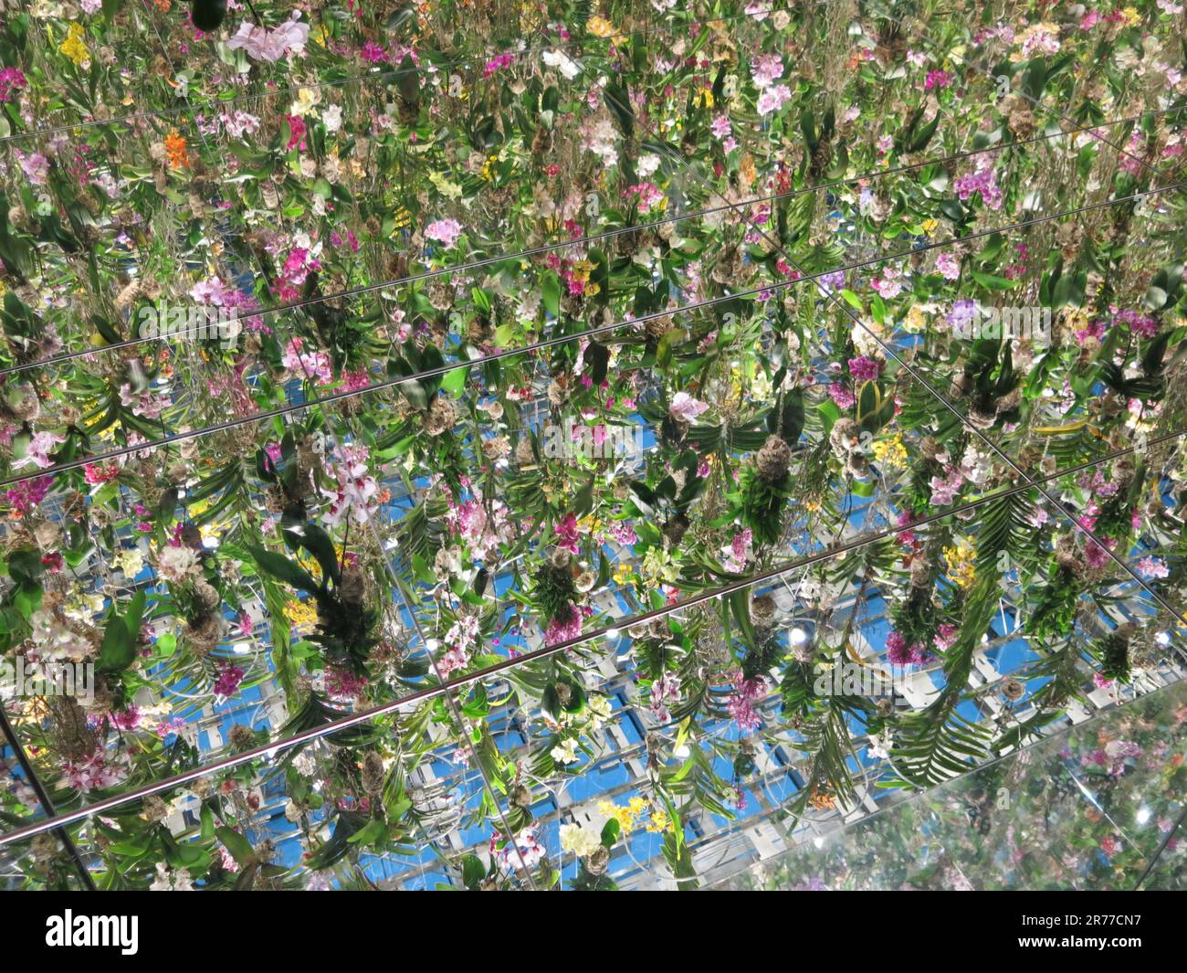 The hanging exotic flowers that you walk through in the immersive ...