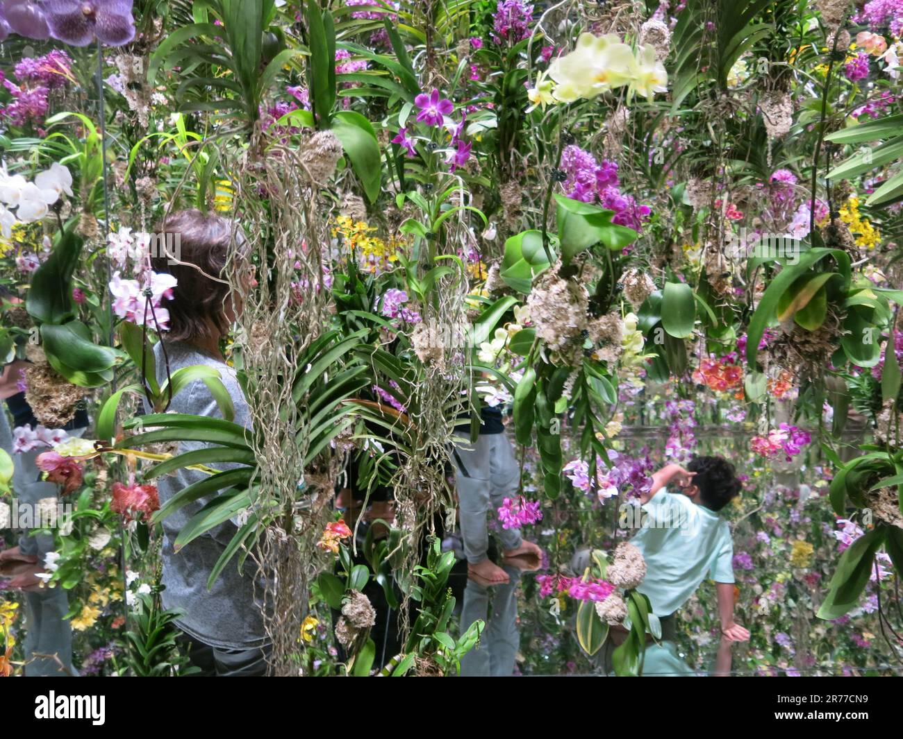 The hanging exotic flowers that you walk through in the immersive ...